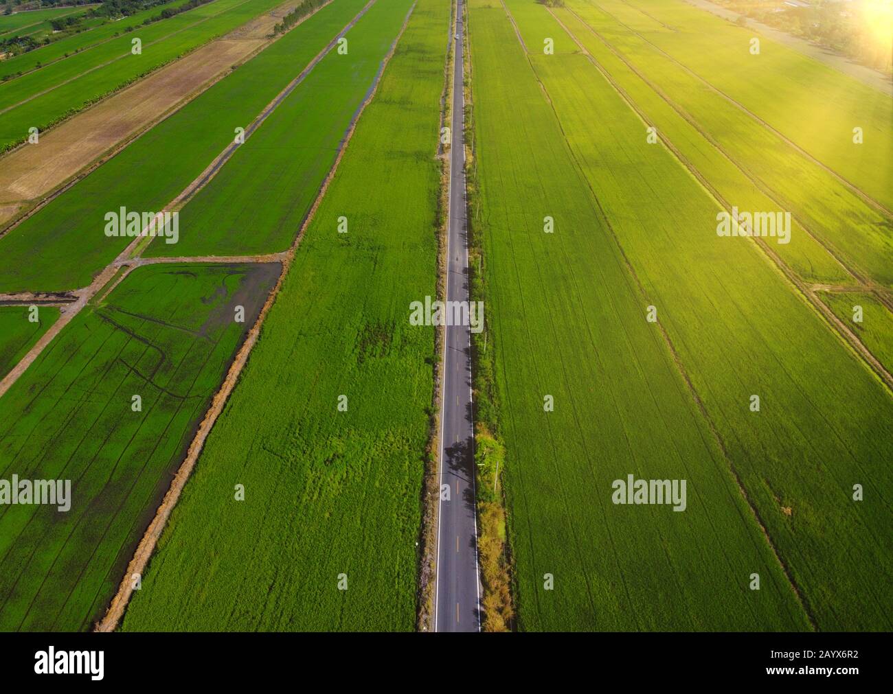 Different crops hi-res stock photography and images - Alamy