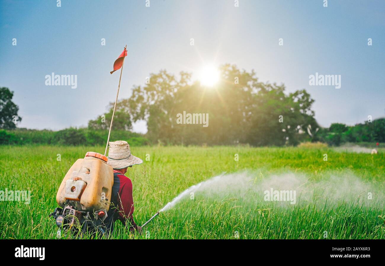 Man spraying pesticide on grass hi-res stock photography and images - Alamy
