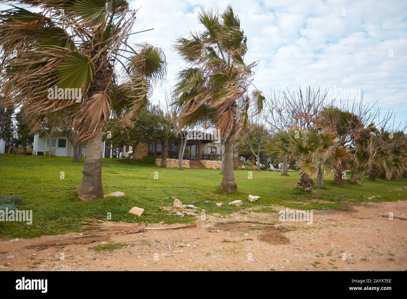February 15, 2020, Protaras, Famagusta, Cyprus: Winter in Cyprus.in the ...