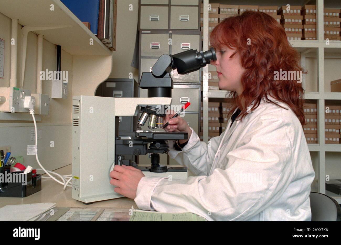 Woman checking samples under a microscope in a pathology laboratory ...