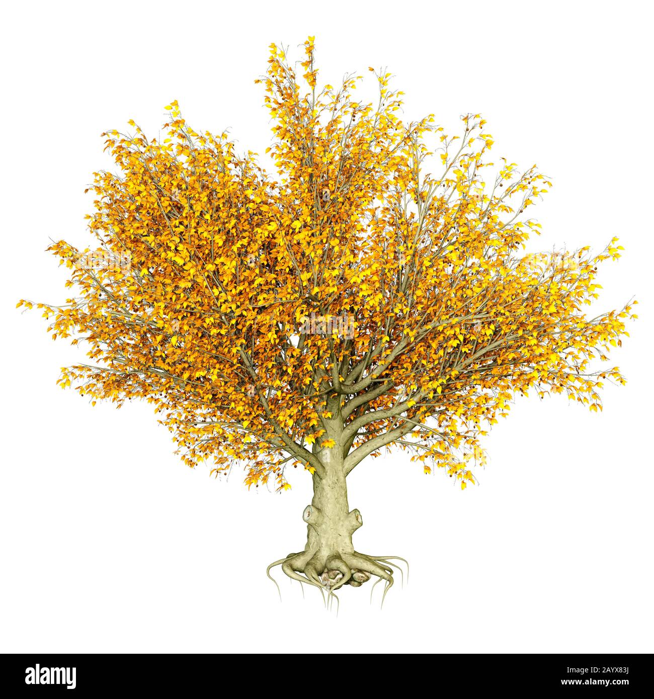3D rendering of a yellow beech tree isolated on white background Stock ...