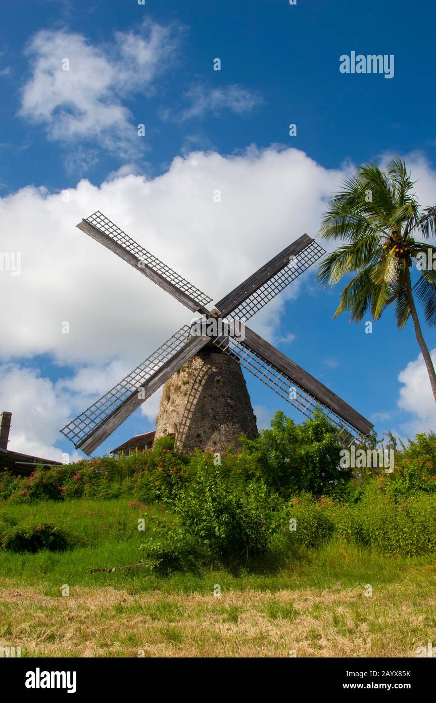 The windmill at the Morgan Lewis Sugar Mill in the interior of Barbados ...