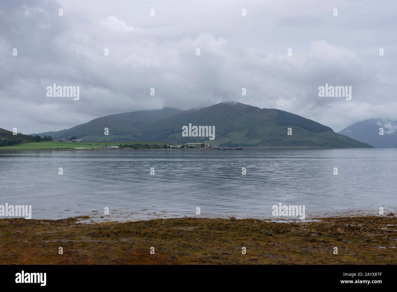 The Isle of Bute, Firth of Clyde, Scotland, United Kingdom Stock Photo ...