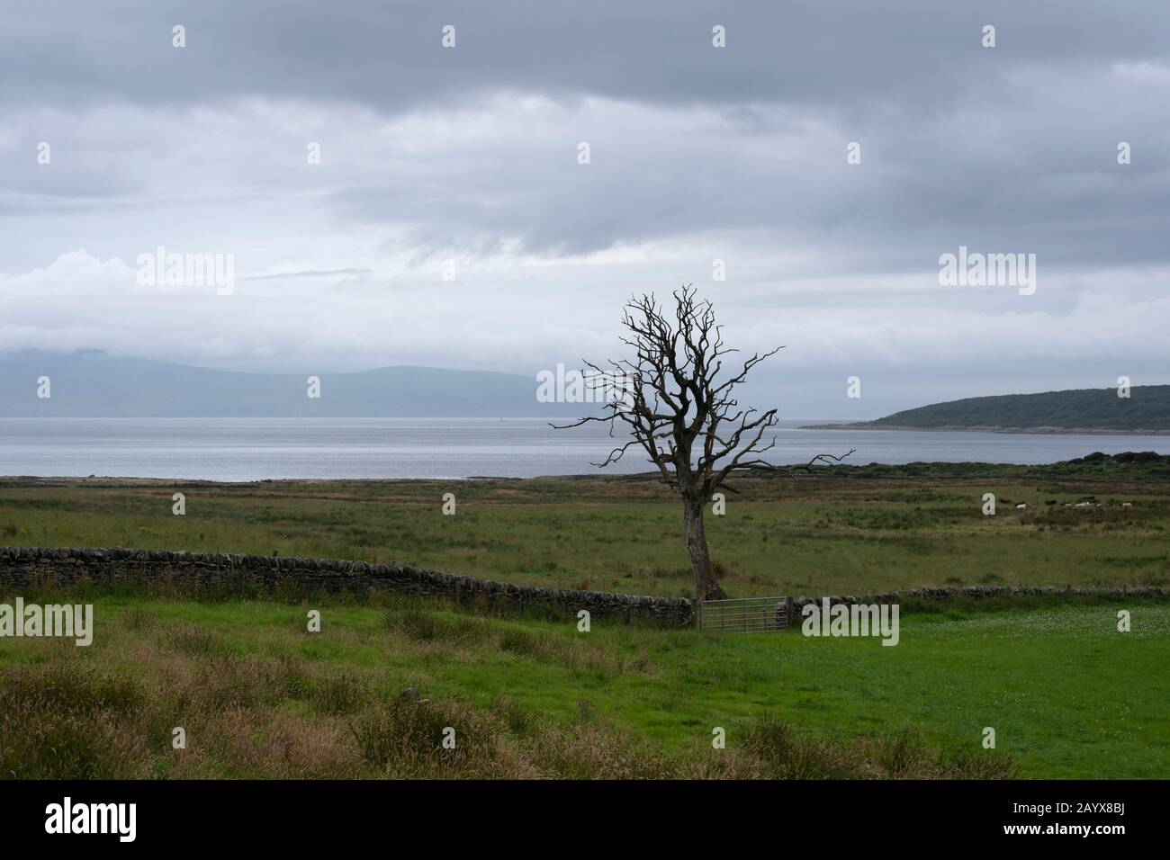 The Isle of Bute, Firth of Clyde, Scotland, United Kingdom Stock Photo ...