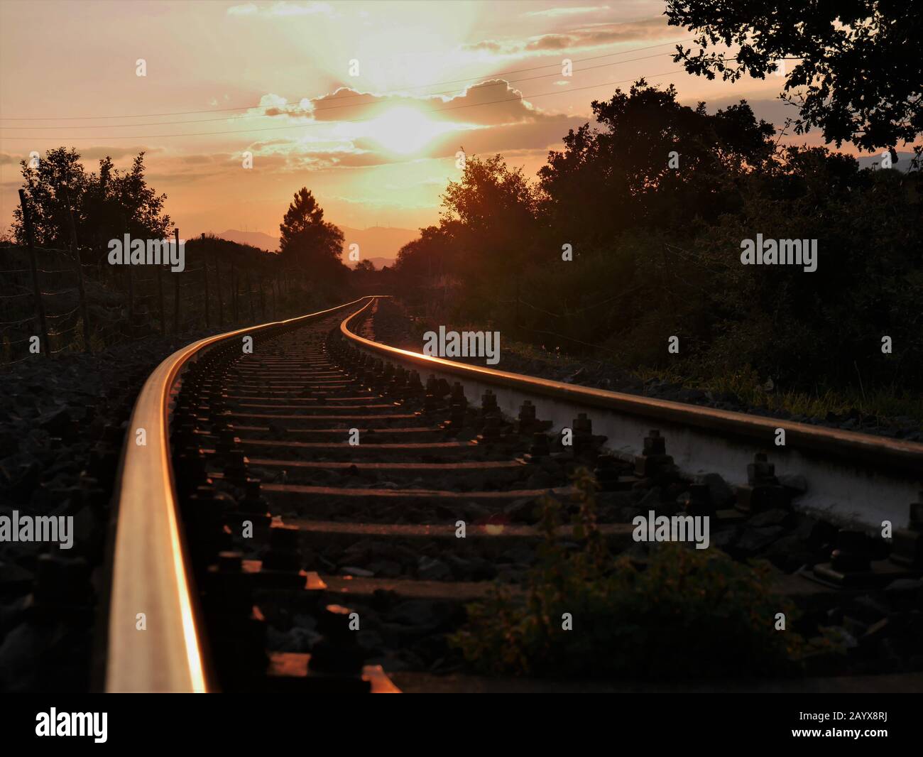 Trees and rails hi-res stock photography and images - Alamy
