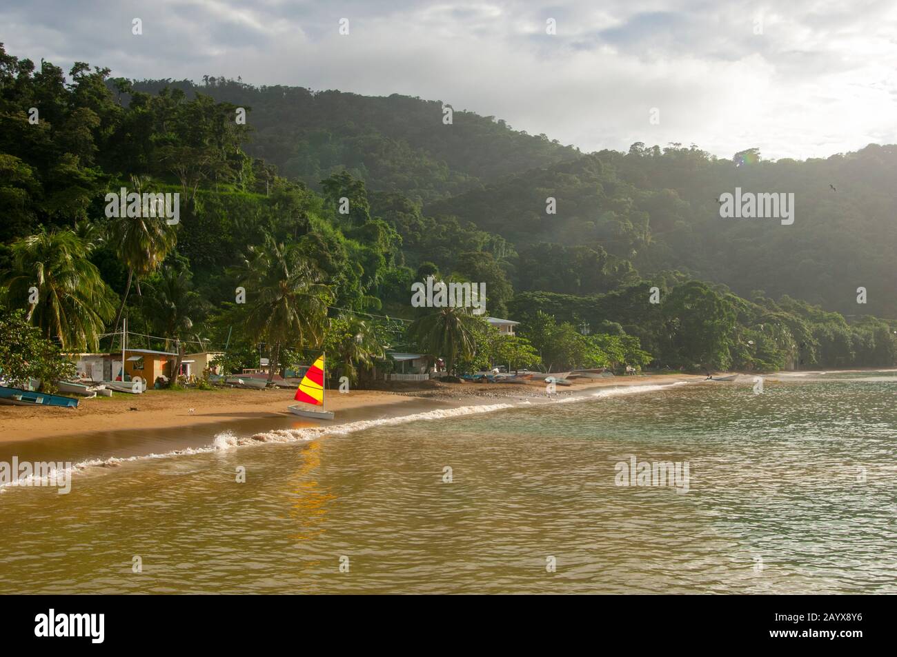 View of the beach of the fishing village of Charlotteville on the ...
