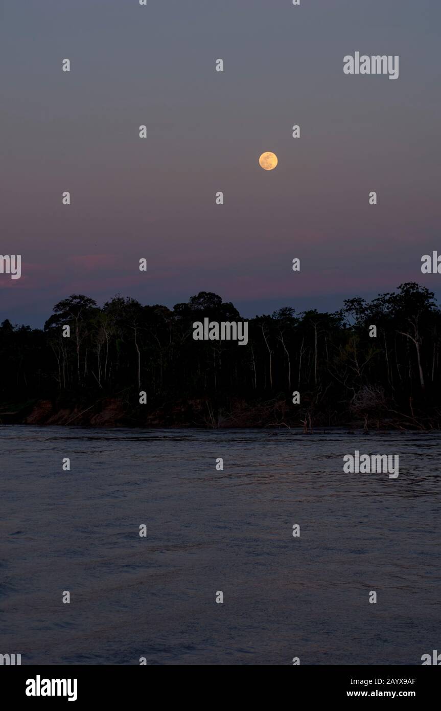 Full moon rising over the rain forest along the Amazon River in the ...