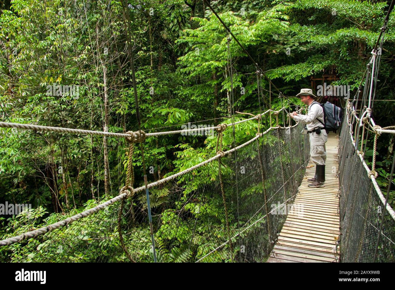 A tourist on a canopy walkway at La Posada Lodge at the Marañón River ...
