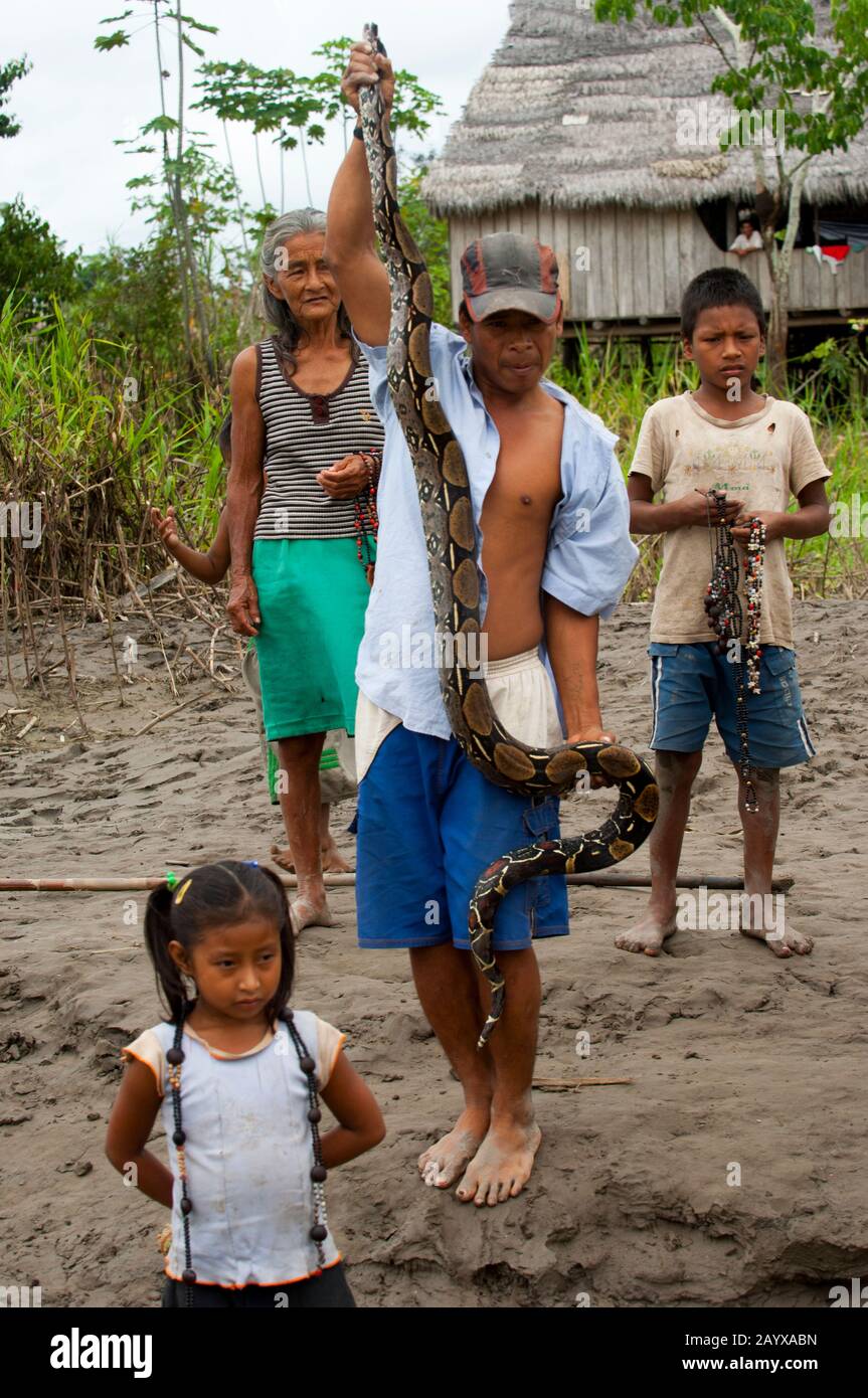 A local cabocolo man with a Boa constrictor on the bank of a small ...