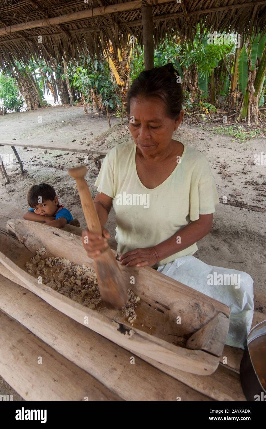 A woman is pounding cassava at a house on stilts in a village along the ...