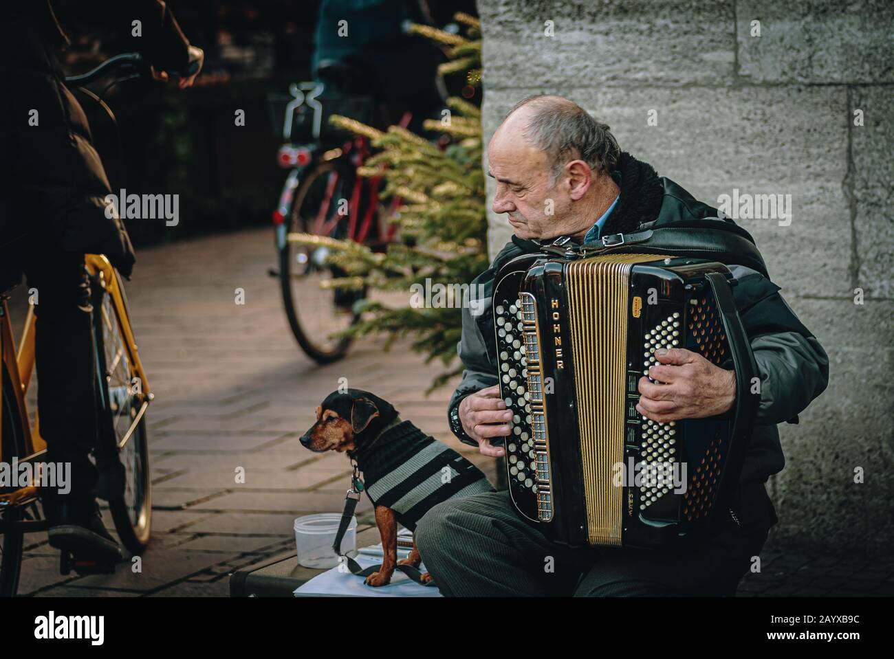 Busker with dog hi-res stock photography and images - Alamy