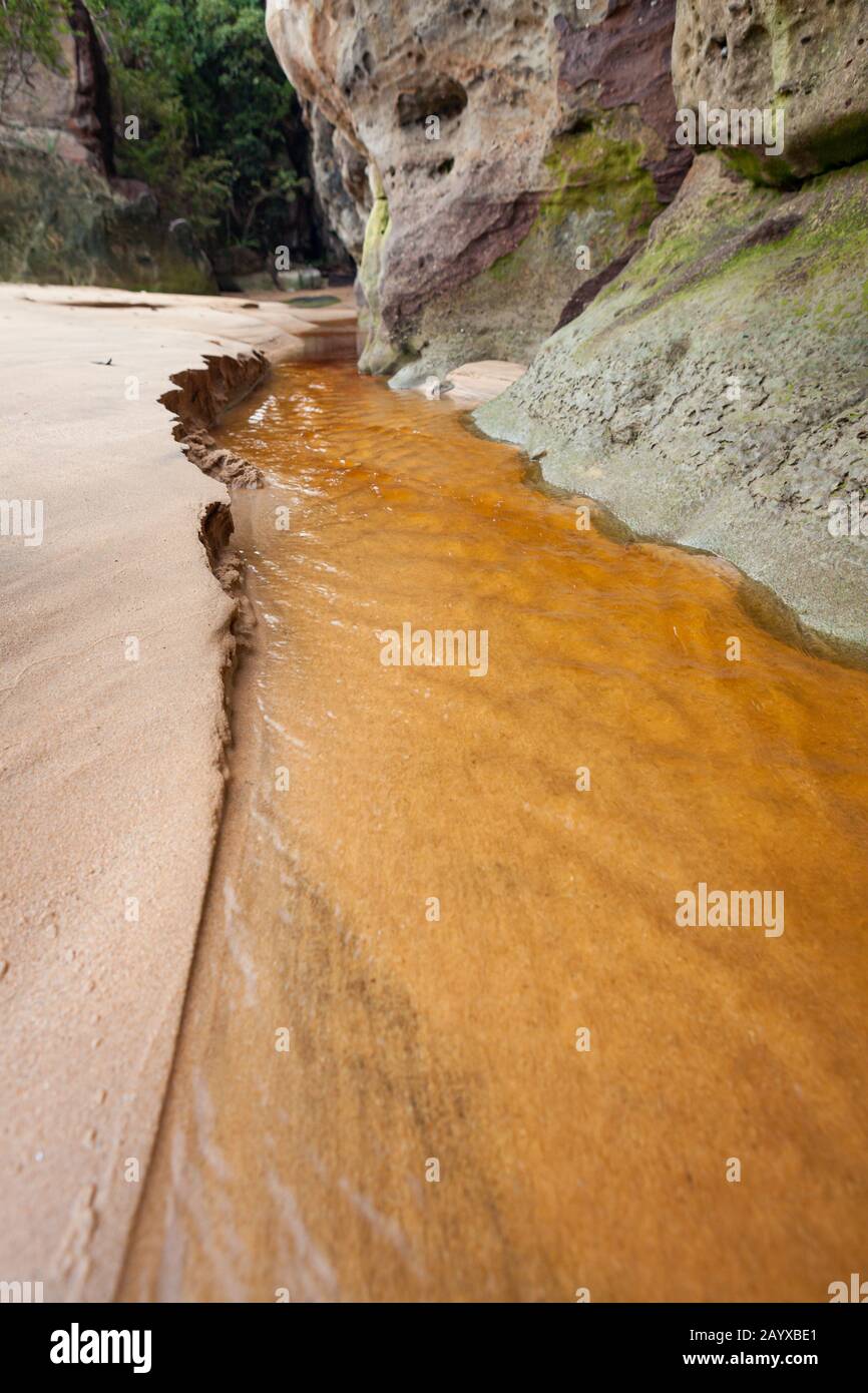 Small stream of water at beach in Bako national park Borneo Malaysia ...