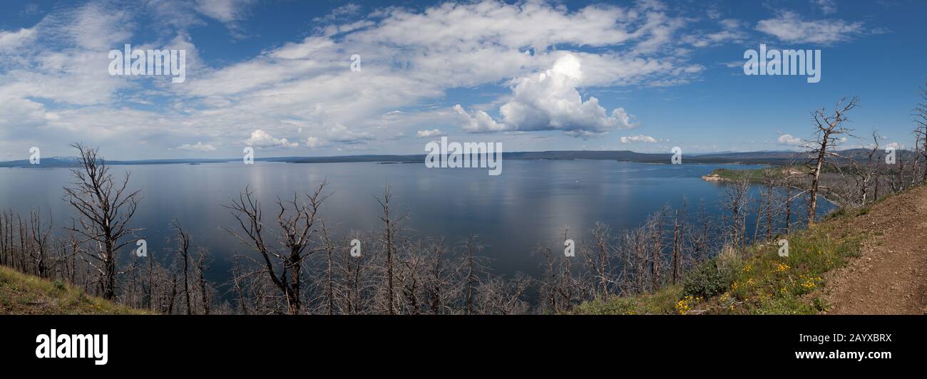 Yellowstone lake overlook trail hi-res stock photography and images - Alamy