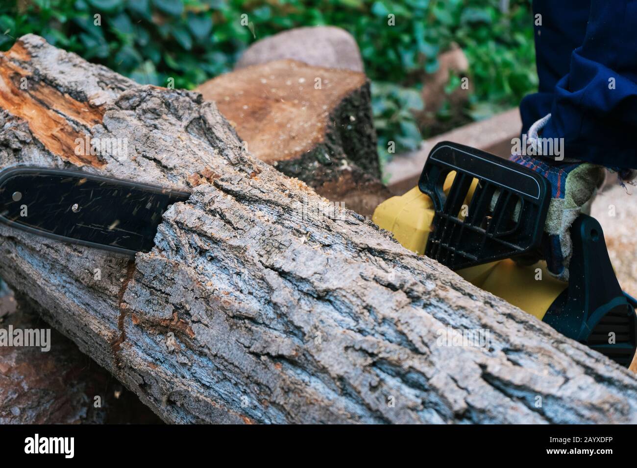 Log cutter hi-res stock photography and images - Alamy