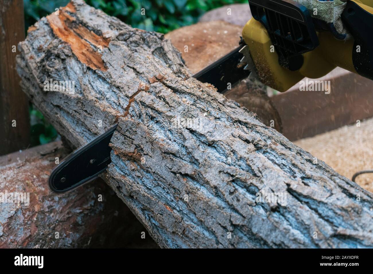 Log harvesting equipment hi-res stock photography and images - Alamy