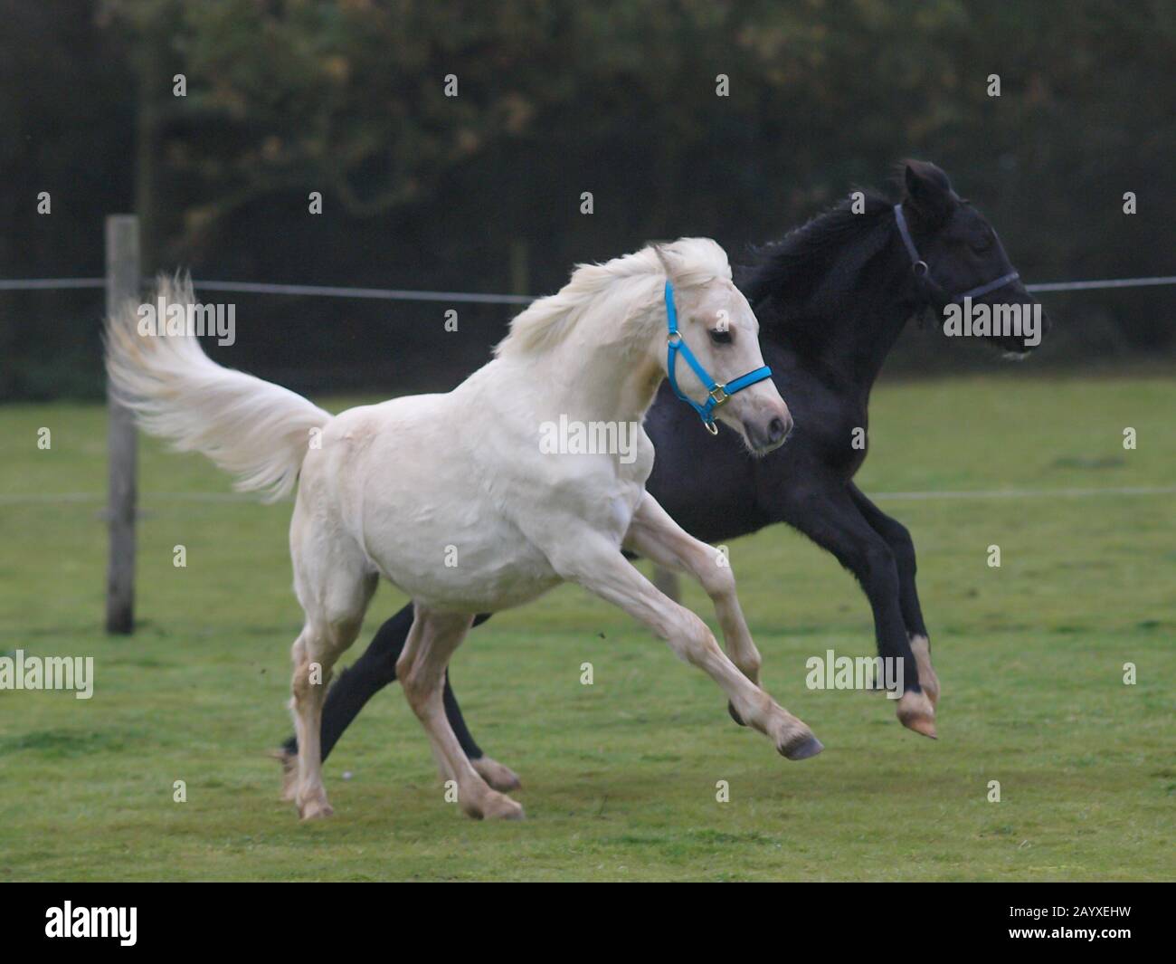 Play off steam hi-res stock photography and images - Alamy