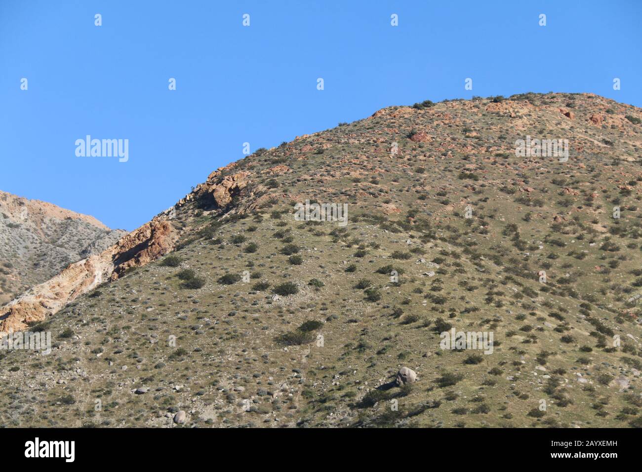 Rolling hillside landscape dry hi-res stock photography and images - Alamy
