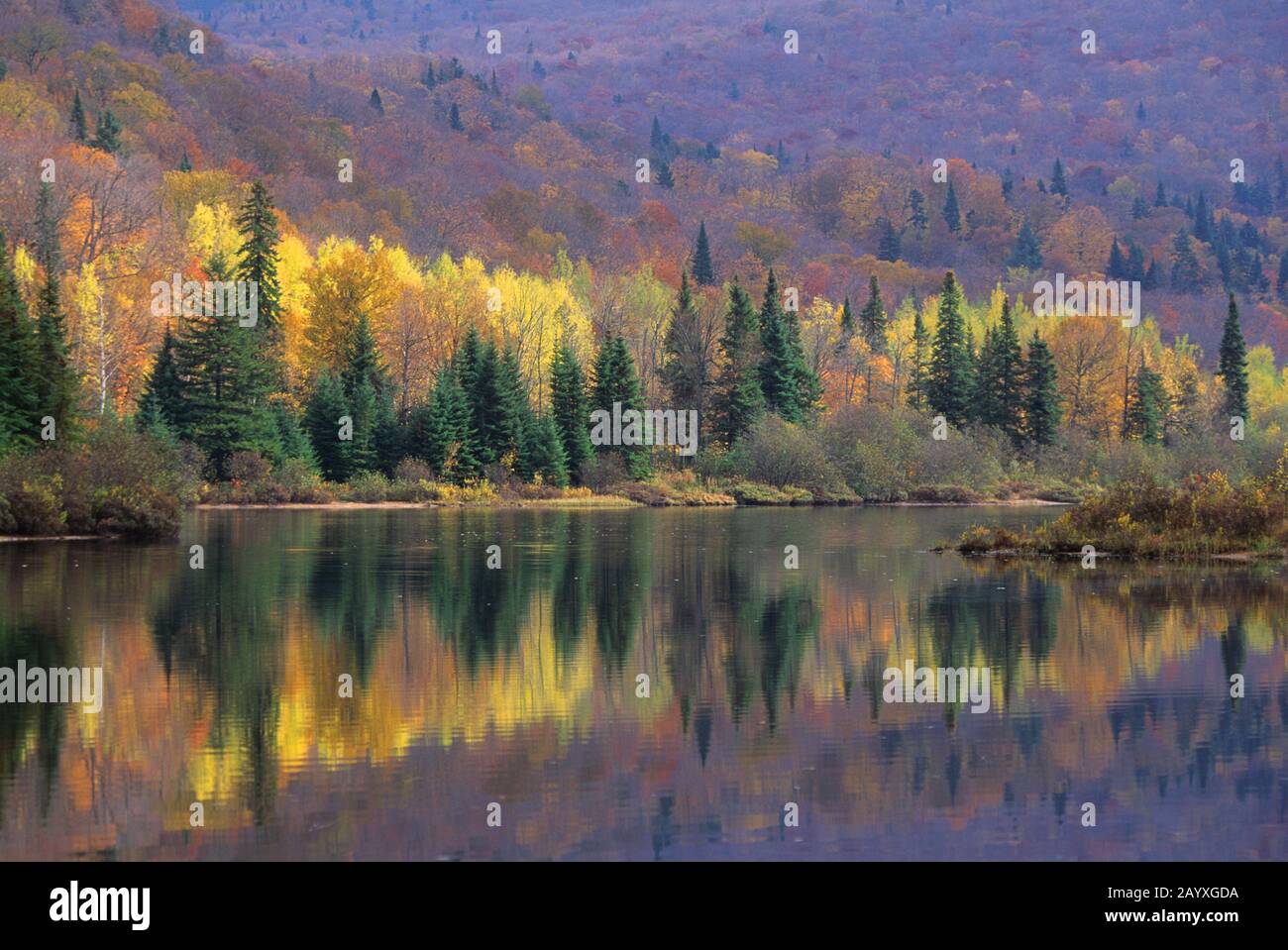 Fall scene with colorful trees reflecting in Lake Lac-Monroe, Mont ...