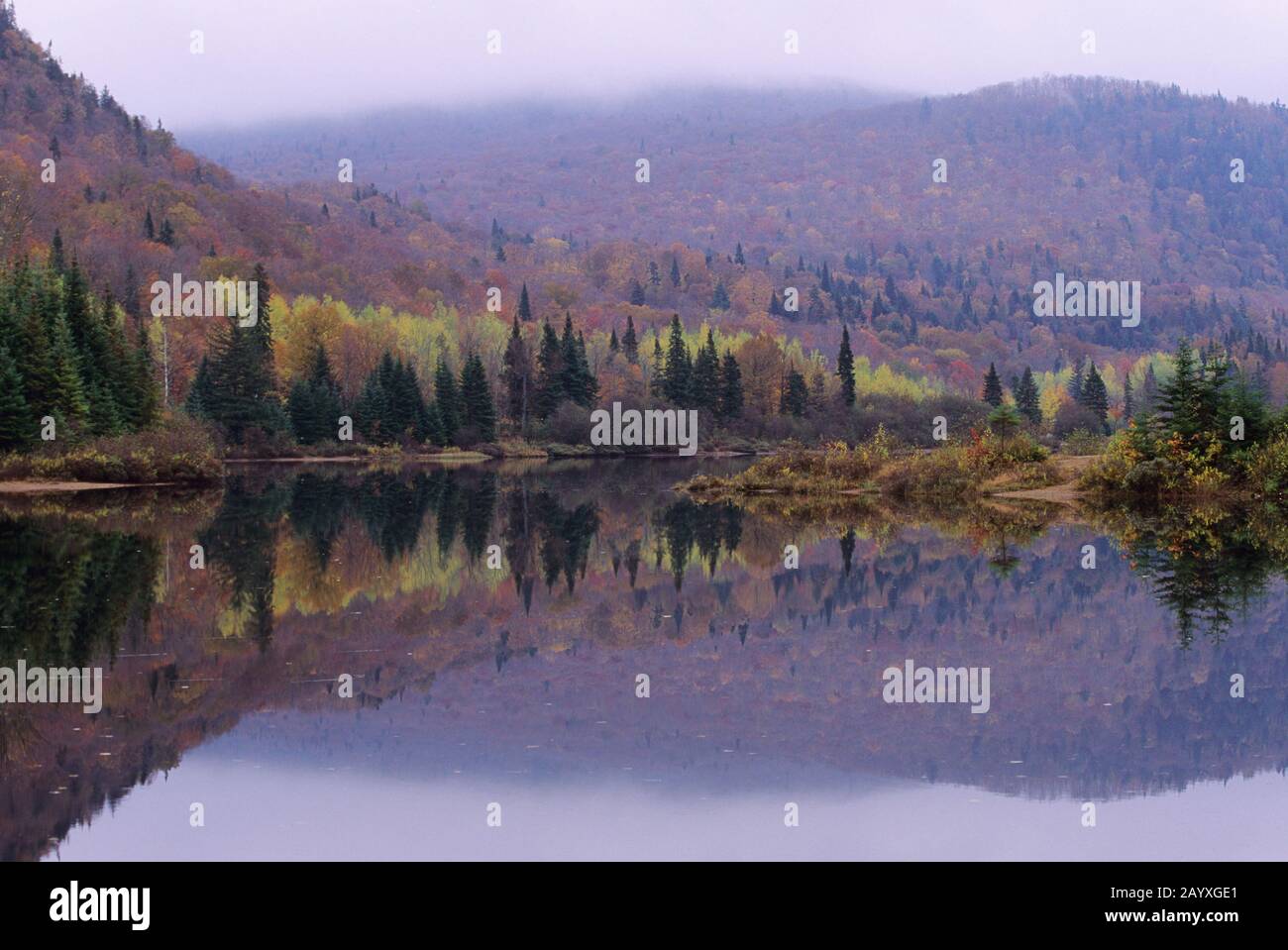 Fall scene with colorful trees reflecting in Lake Lac-Monroe, Mont ...