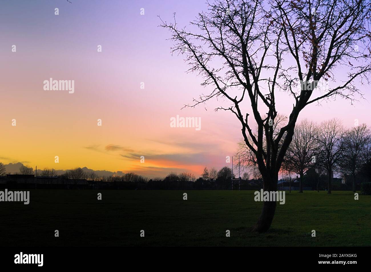 Trees in a park during a vibrant fiery sunset Stock Photo - Alamy