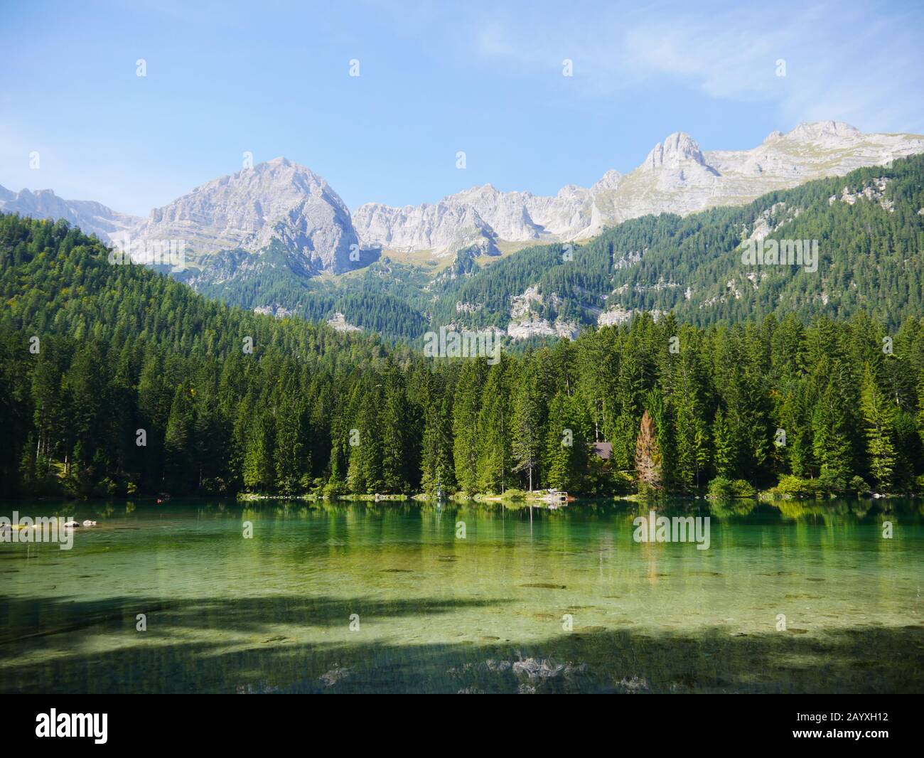 Lake Tovel, Italy: A beautiful Alps lake Stock Photo - Alamy