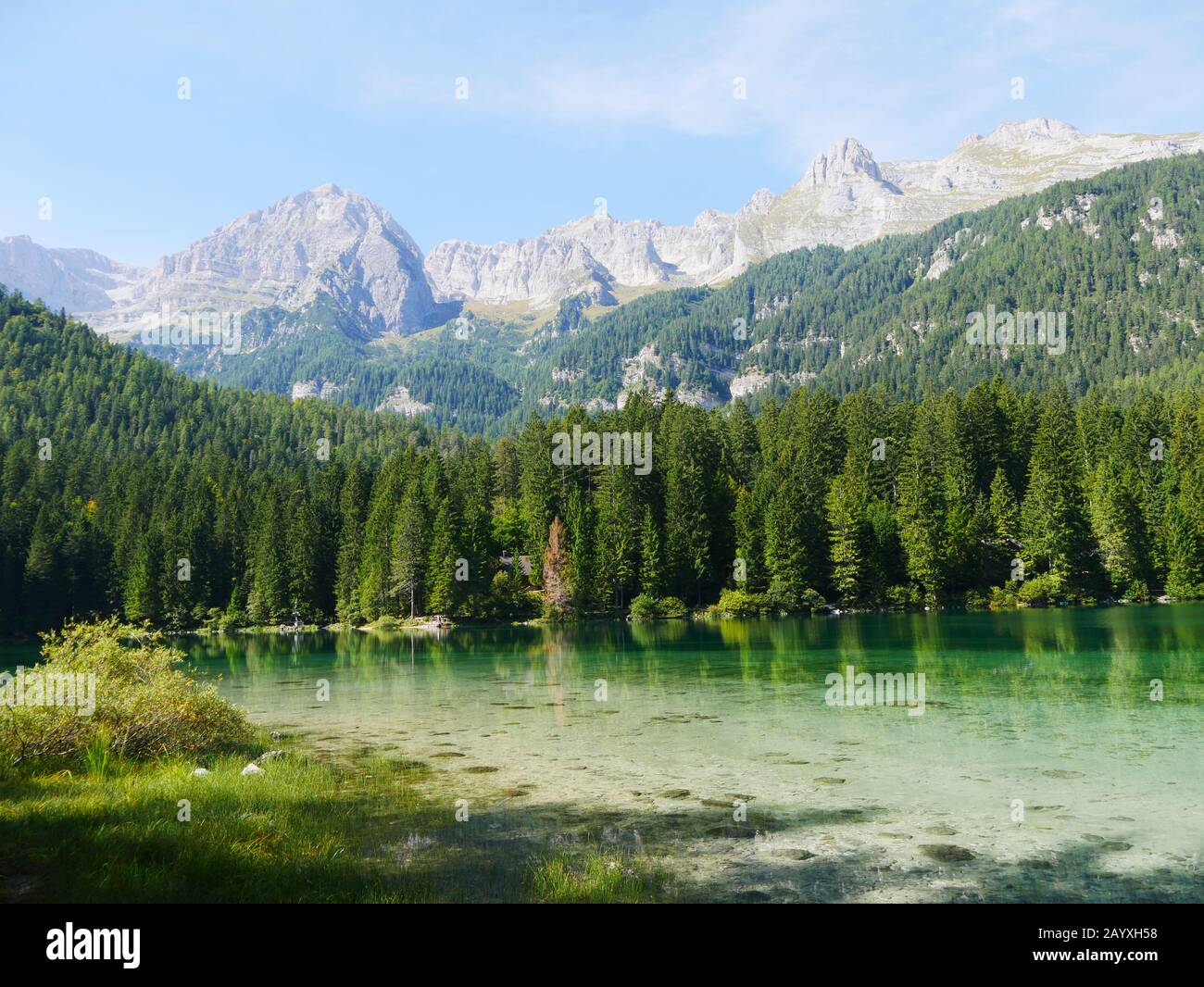 Lake Tovel, Italy:Lake Panorama Stock Photo - Alamy