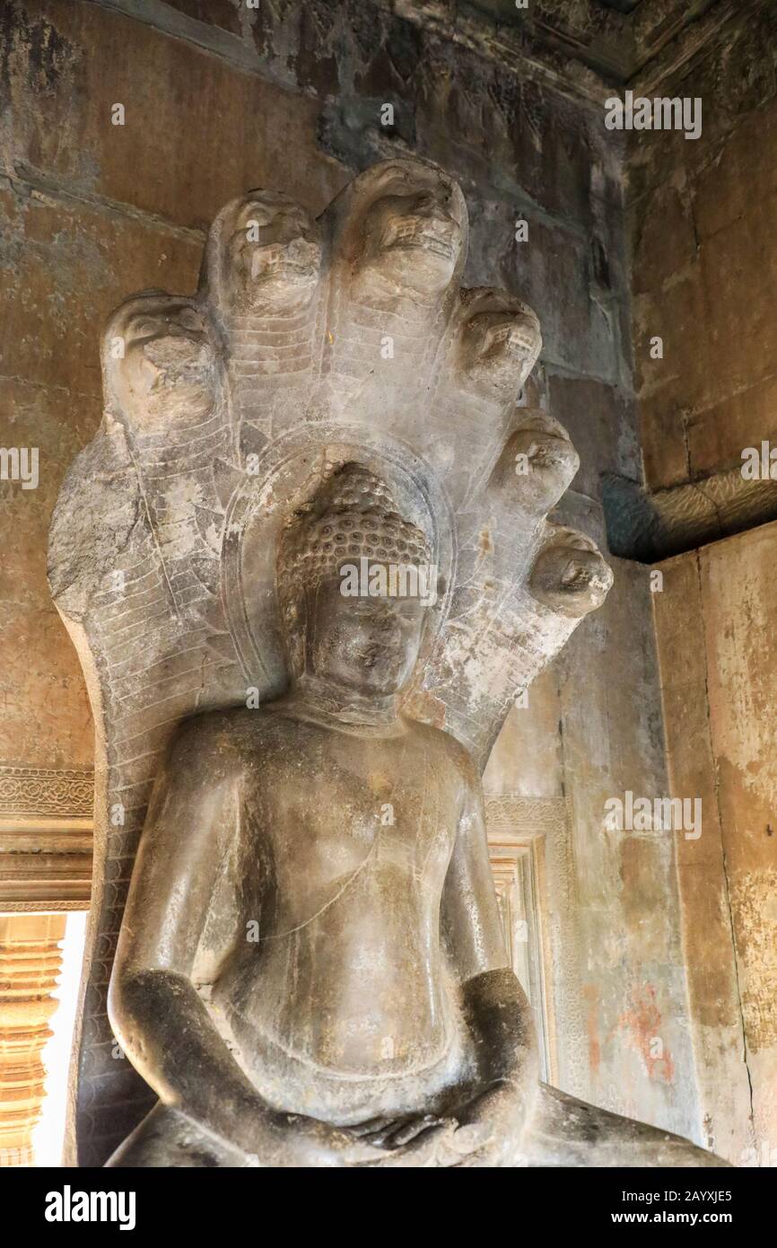 Seven headed hi-res stock photography and images - Alamy