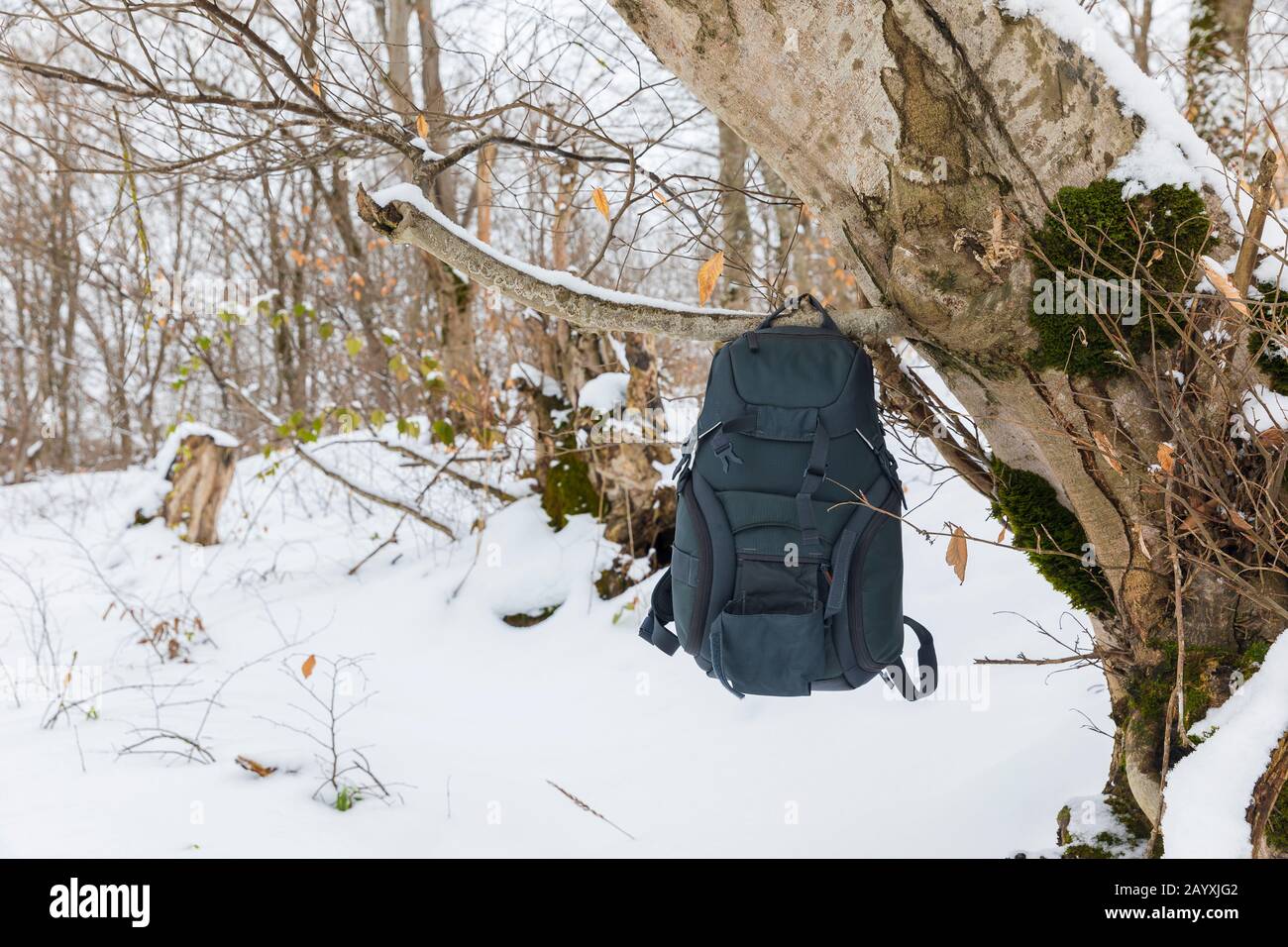A backpack hanging on a tree in the winter forest Stock Photo - Alamy