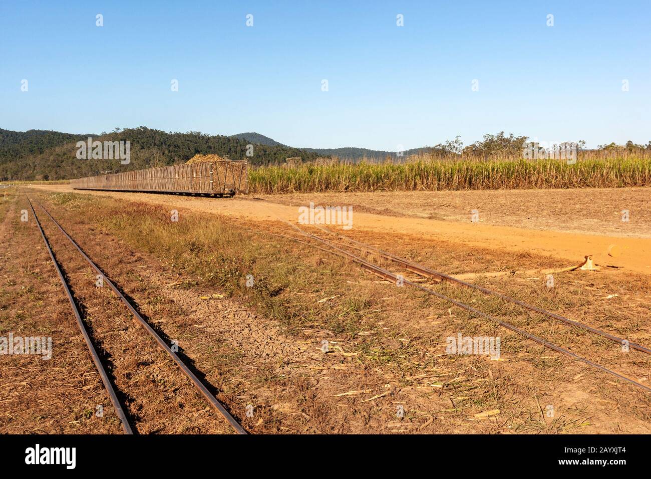 Sugar cane wagons and tracks, Hamilton Plains Queensland, Australia ...
