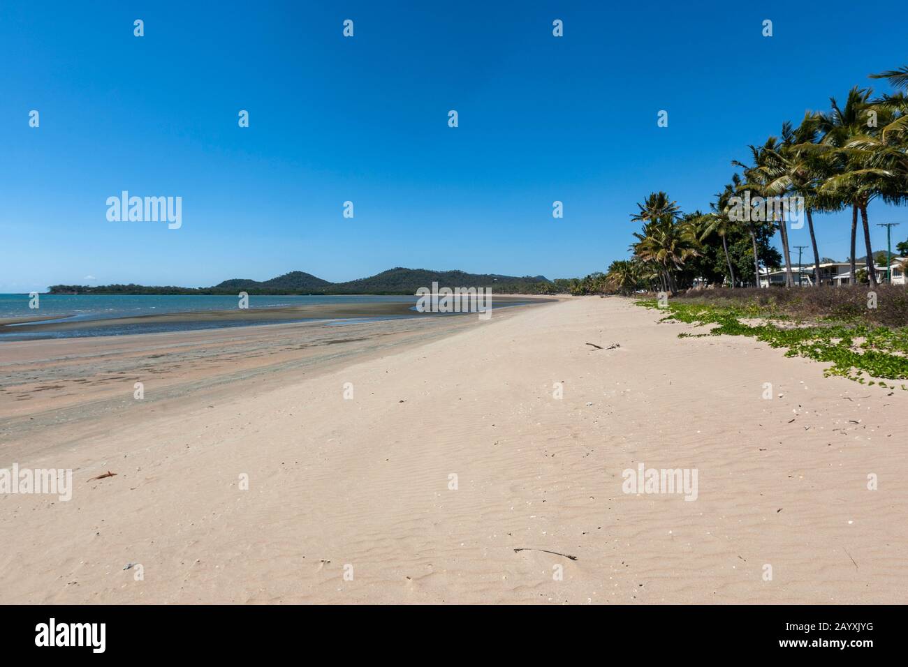 Seaforth Beach, Seaforth , Queensland, Australia Stock Photo - Alamy