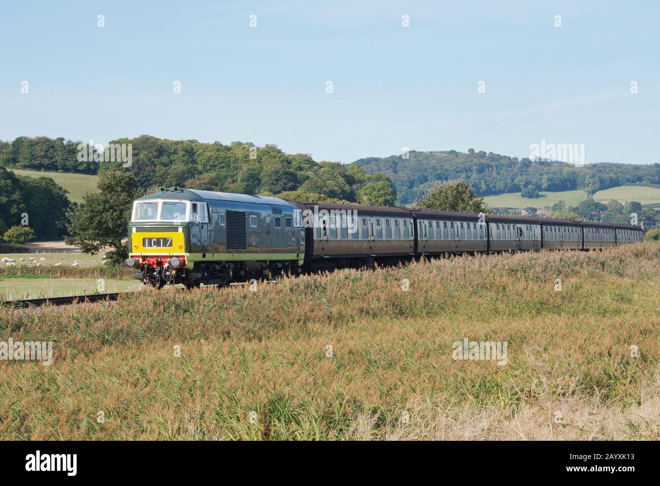 Hymek diesel locomotive pulling a train across Ker Moor, Blue Anchor ...