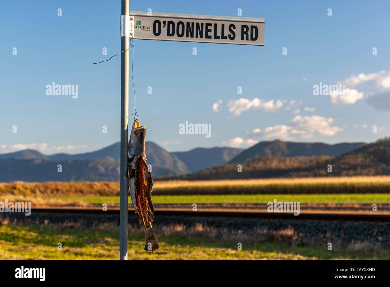 Road Signs In Queensland Australia High Resolution Stock Photography ...