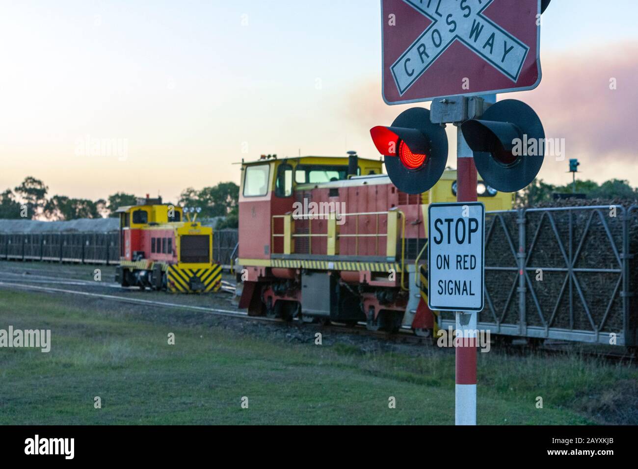 Sugar cane train, Hamilton Plains Queensland, Australia Stock Photo - Alamy