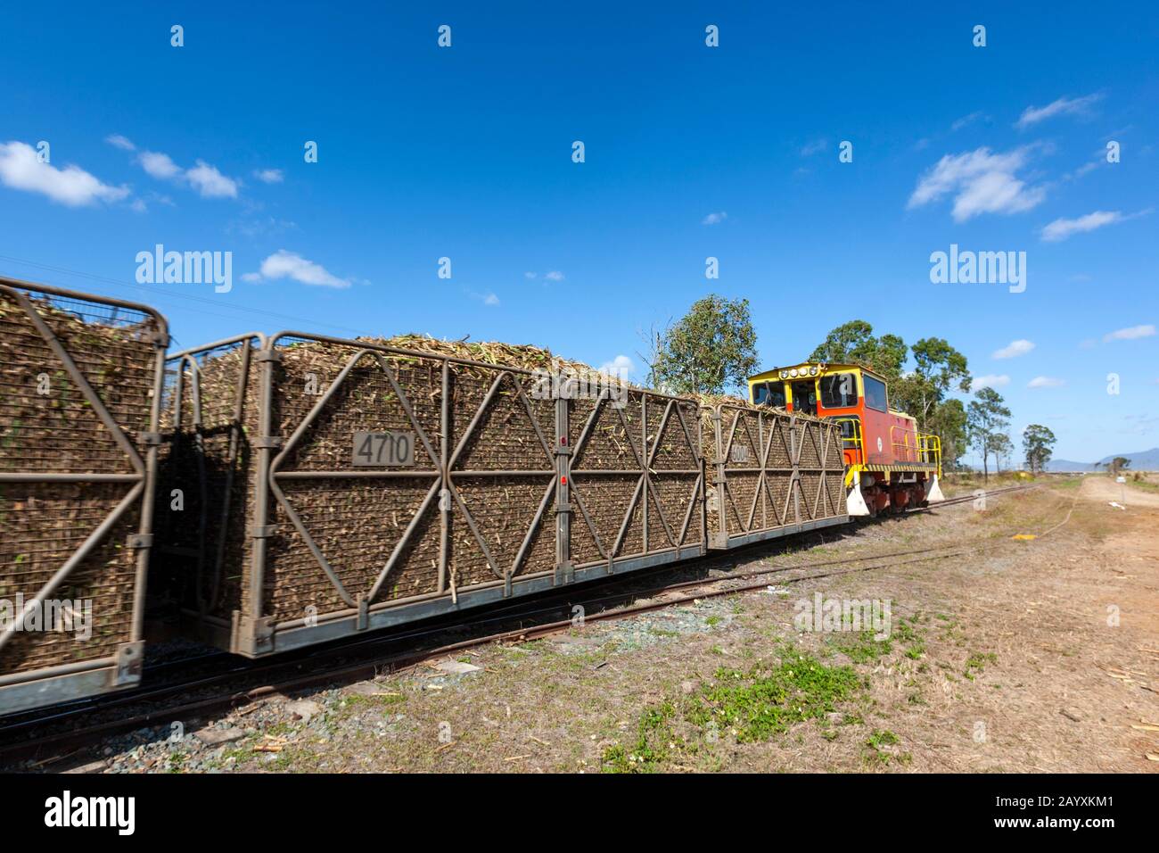 Sugar cane train, Hamilton Plains Queensland, Australia Stock Photo - Alamy