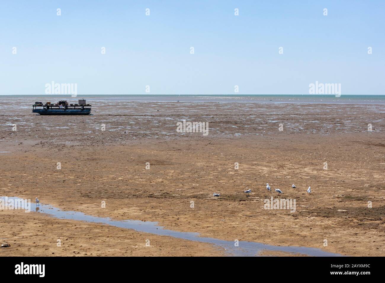 Platform in a muddy beach from Cairns esplanade scenic walkway, Cairns ...