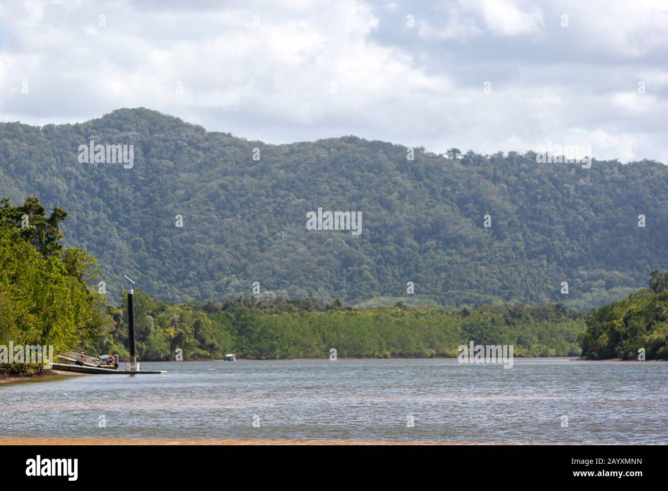 Daintree River, Queensland, Australia Stock Photo - Alamy