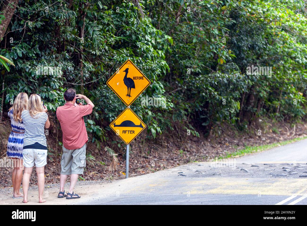 Casuarius cassowary caution road sign hi-res stock photography and ...