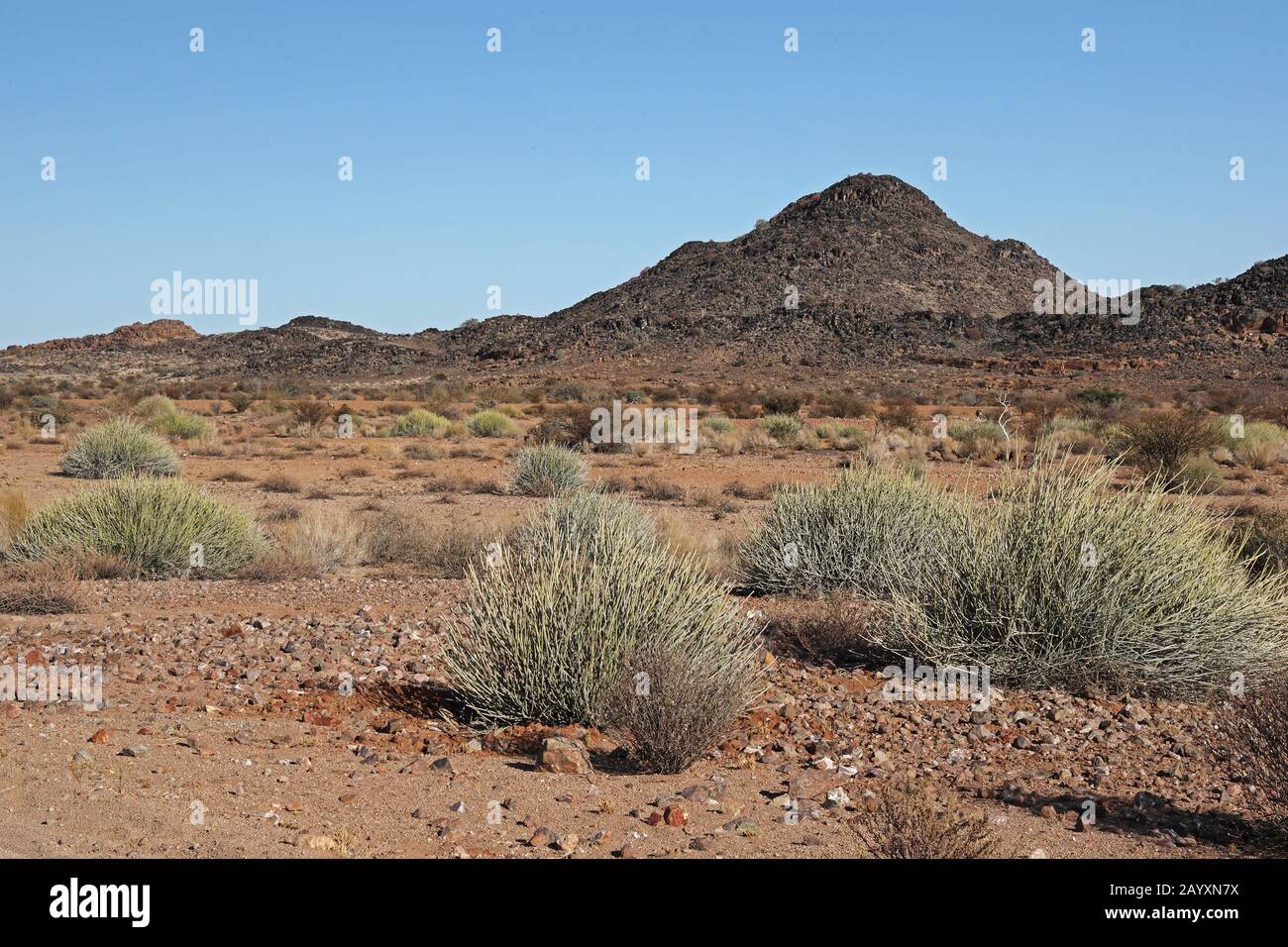Scrubland africa hi-res stock photography and images - Alamy