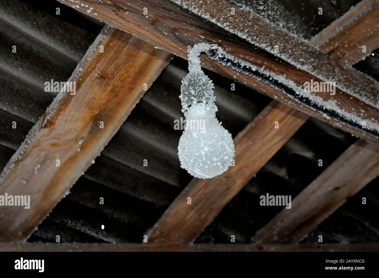 Electric light bulb under the ceiling Stock Photo - Alamy