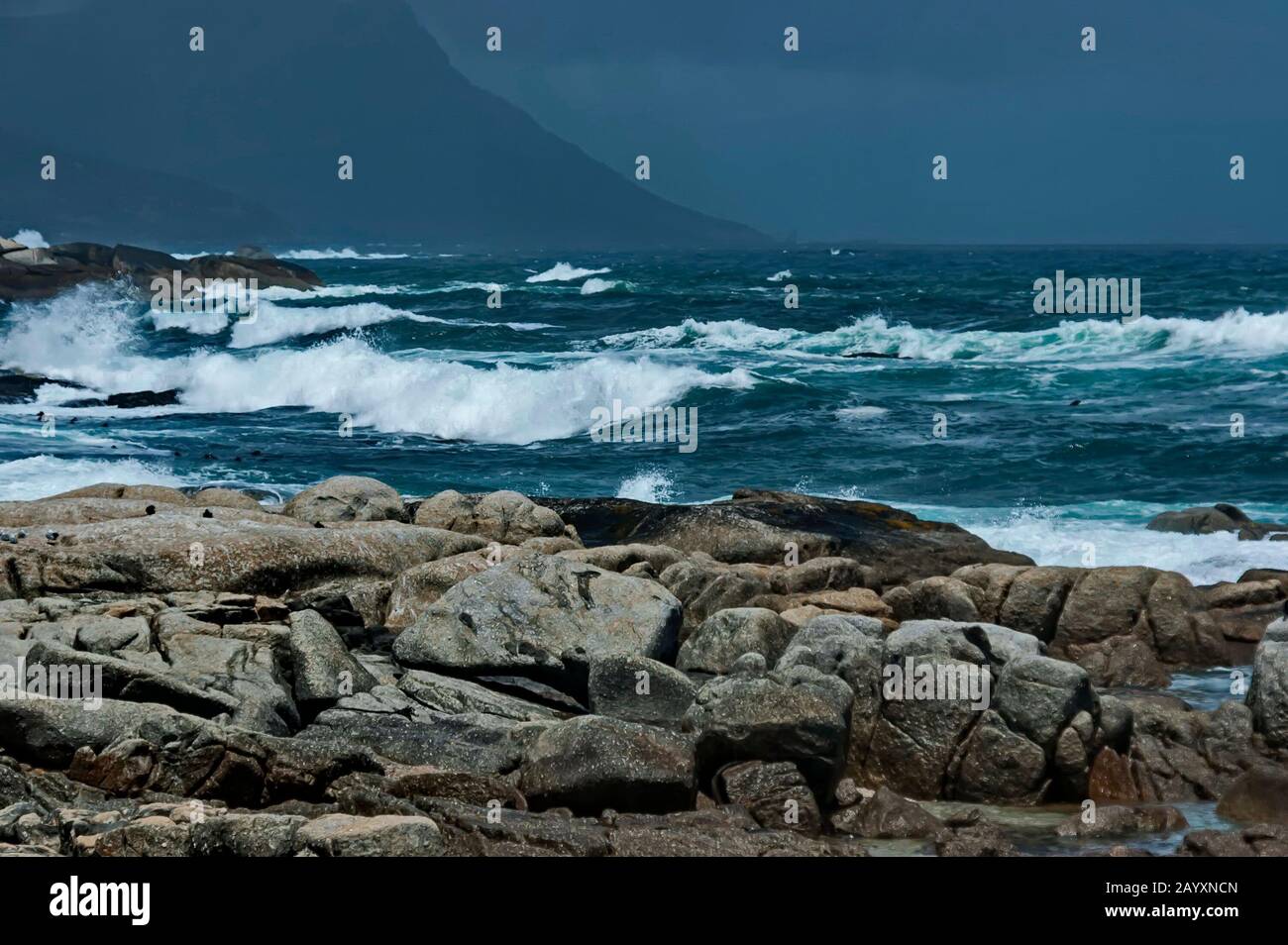 Sea shore on Atlantic ocean by Cape Town, South Africa Stock Photo - Alamy