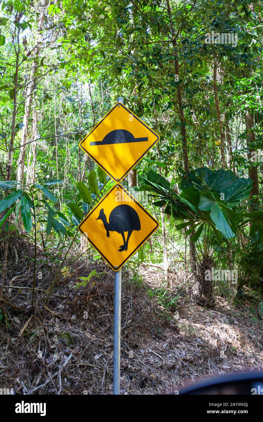 Casuarius (Cassowary) caution road sign in Cape Tribulation Rd ...