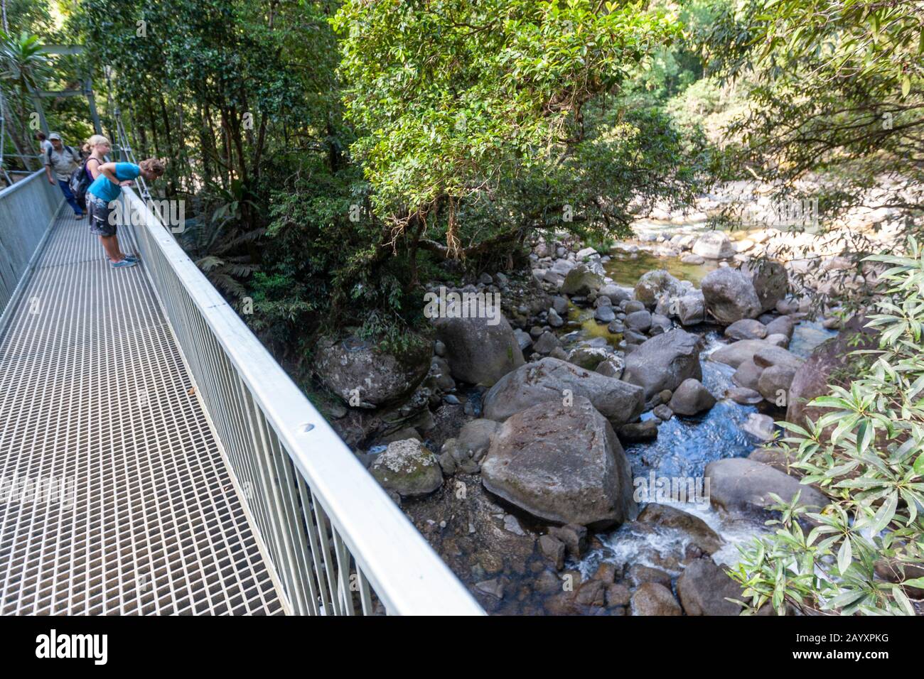 Metal bridge above Mossman river, Mossman Gorge, Queensland, Australia ...