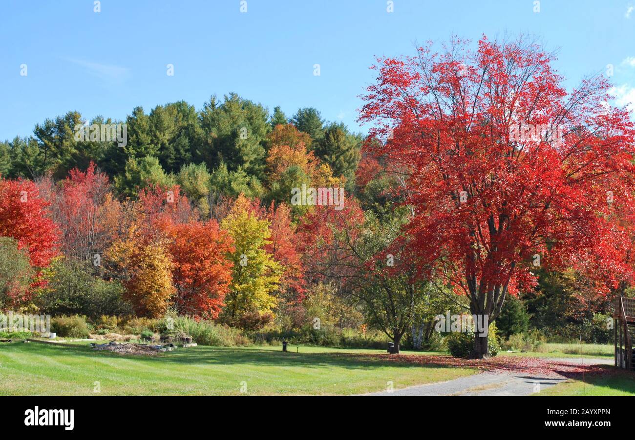 Awesome colorful scene hi-res stock photography and images - Alamy