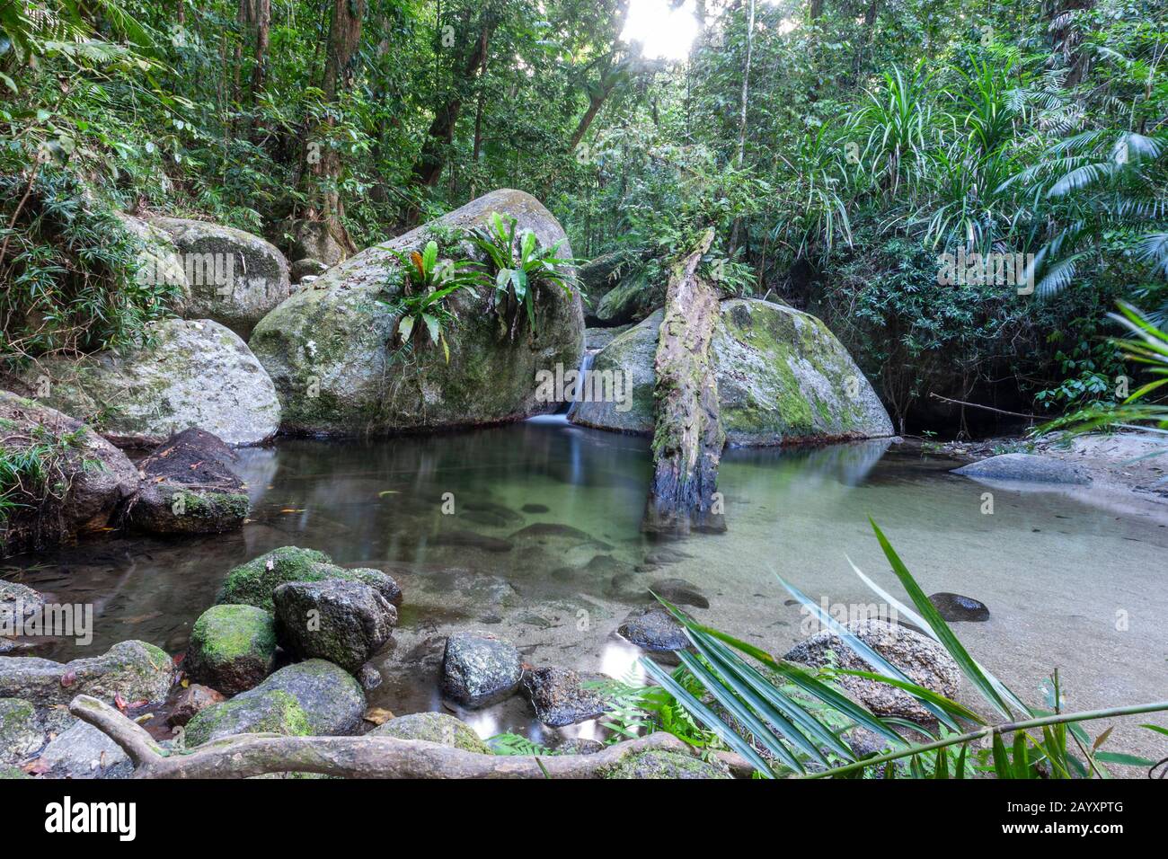 Mossman Gorge, Queensland, Australia Stock Photo - Alamy