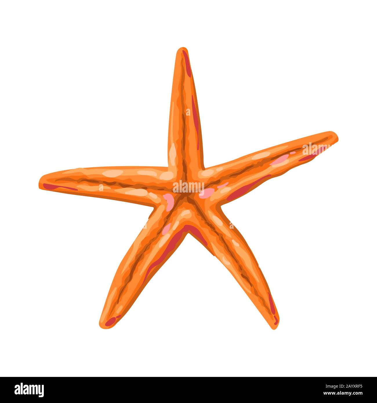 Caribbean sea underwater marine Stock Vector Images - Alamy