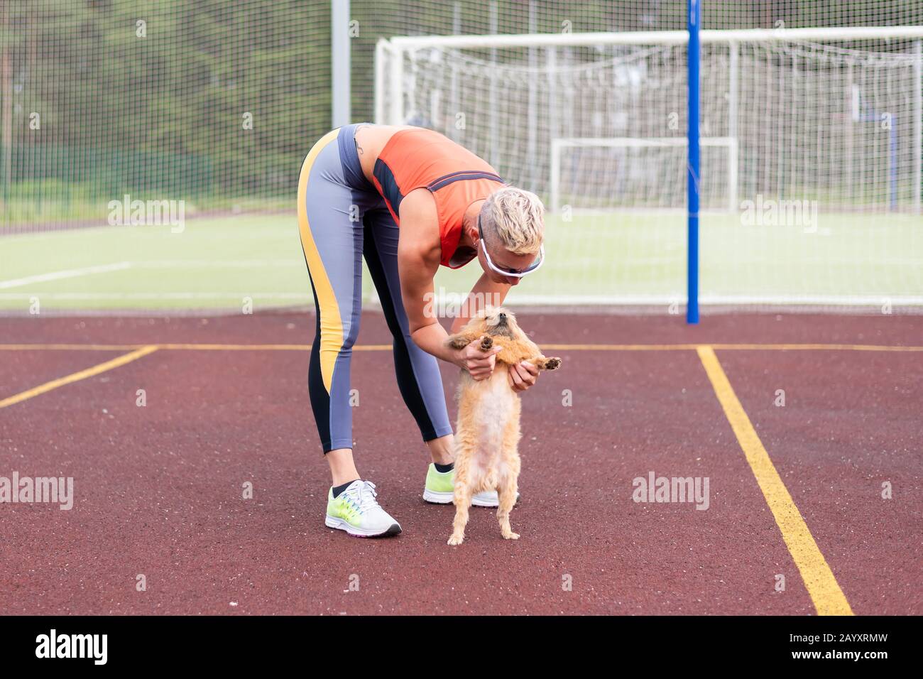 Dog stadium hi-res stock photography and images - Alamy