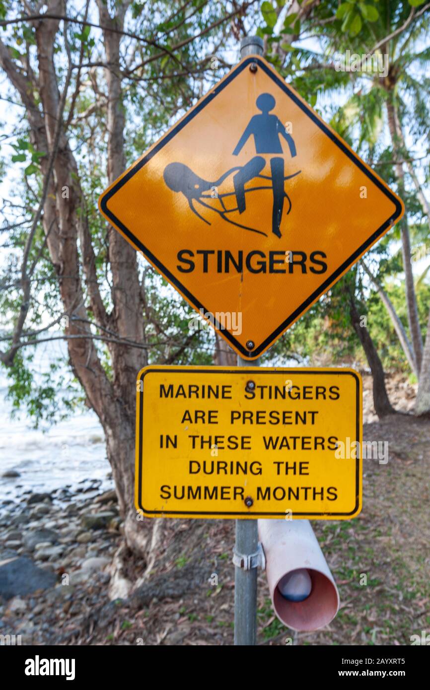 Stingers hi-res stock photography and images - Alamy