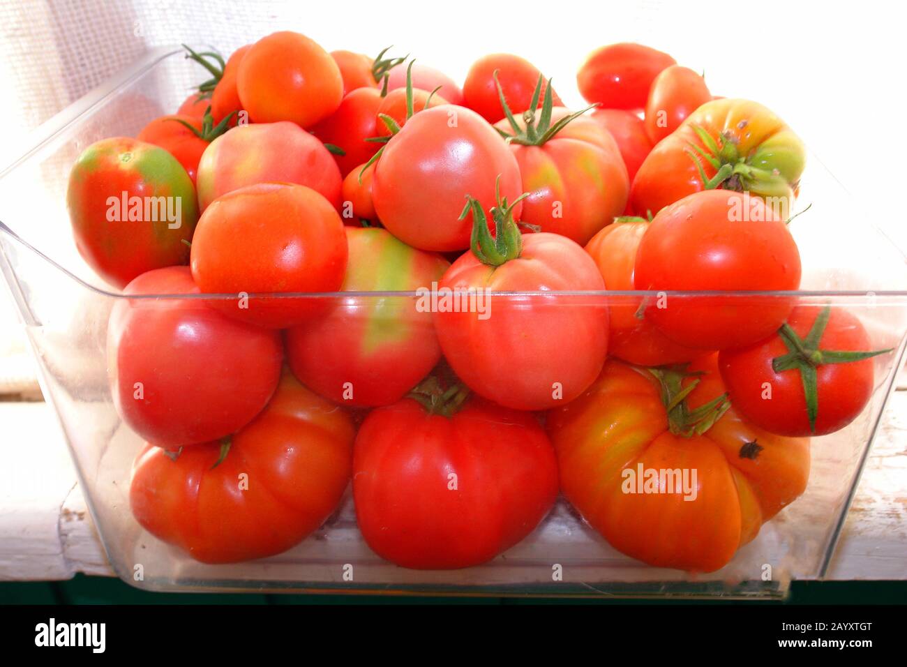 red and ripe tomatoes Stock Photo - Alamy