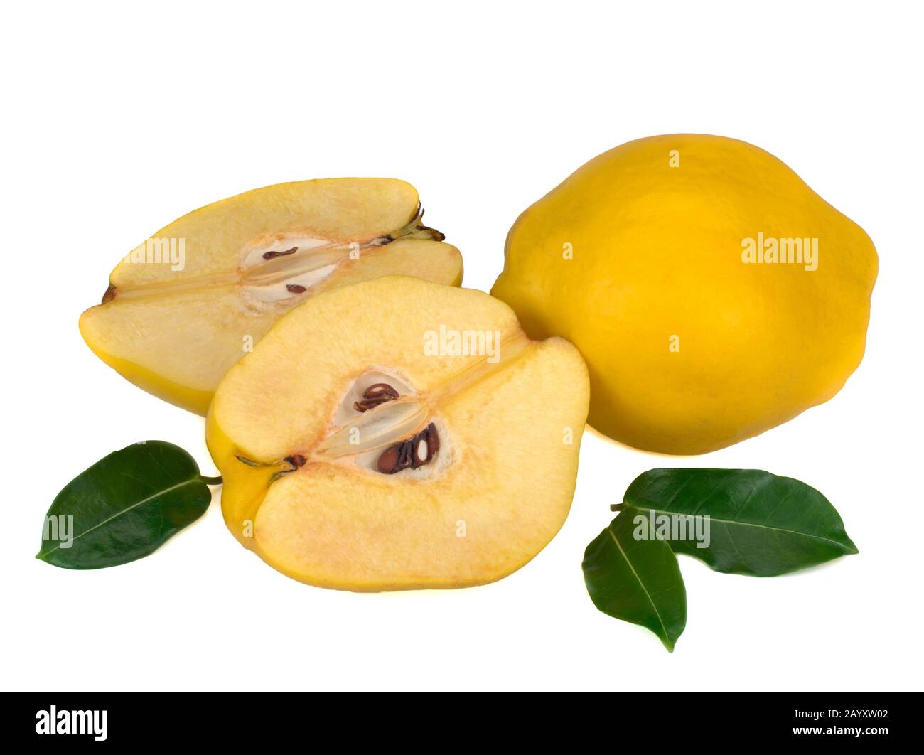Fresh yellow quinces on white Stock Photo - Alamy