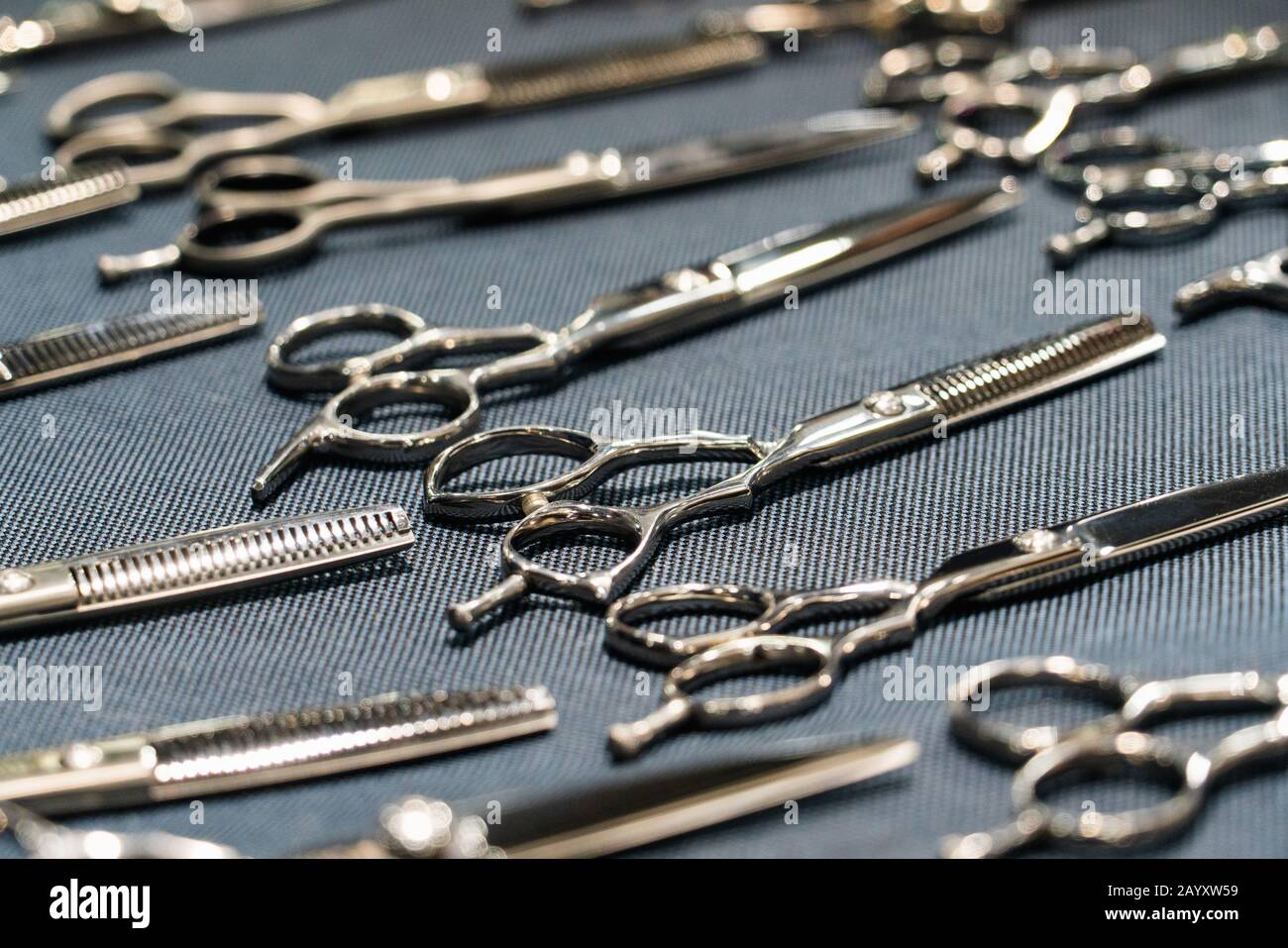 Professional collection hi-res stock photography and images - Alamy